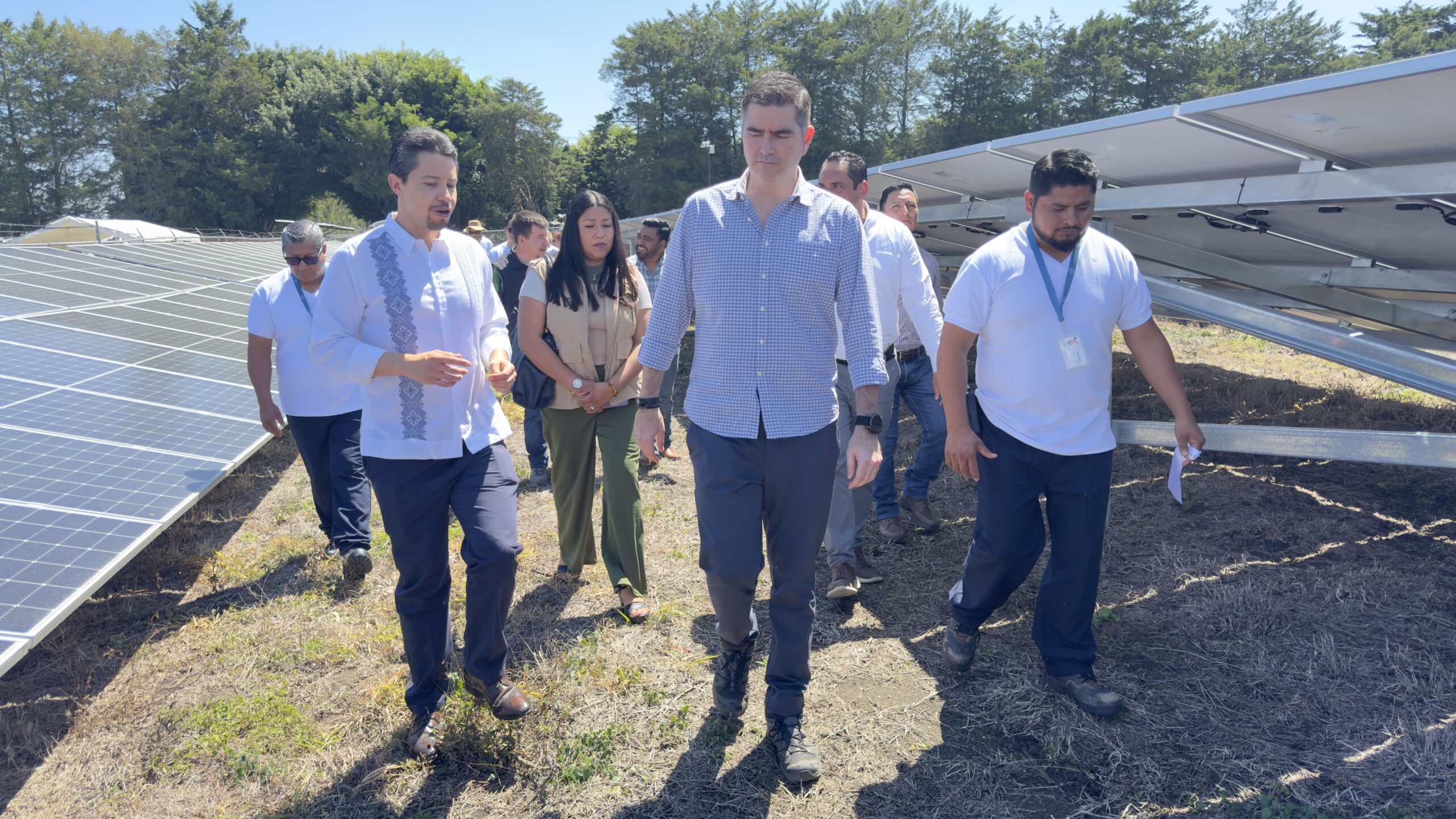 Bayer impulsa la sostenibilidad con nueva planta solar en su sitio de producción de semillas en ...